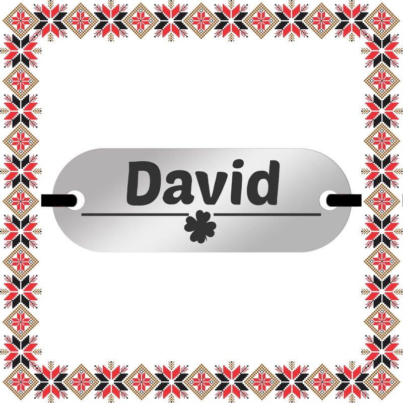 Martisor Bratara Inox Placuta Argintie Barbati Nume David